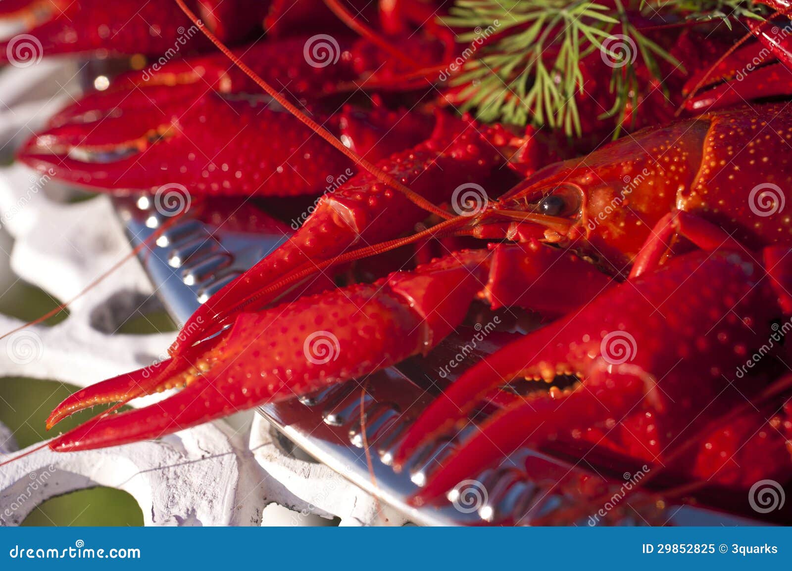 Crayfishes stock image. Image of crawdad, crawfish, crabs - 29852825