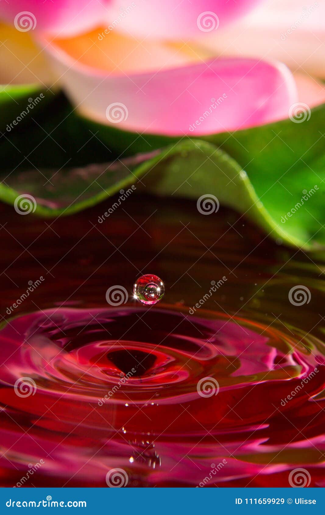 Red drop stock image. Image of transparent, scenic, bubble - 111659929