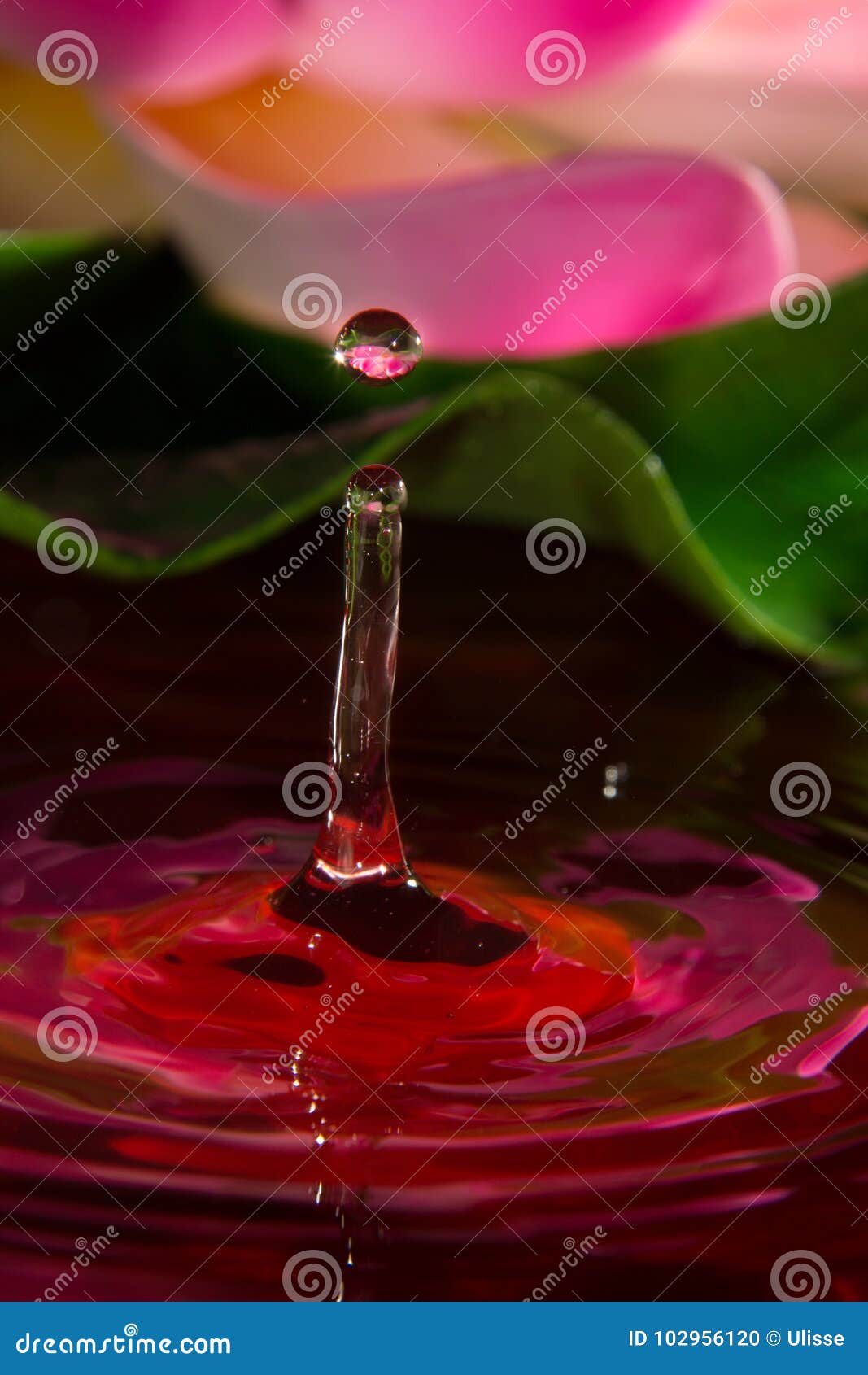 Red drop stock photo. Image of circle, valentine, liquid - 102956120