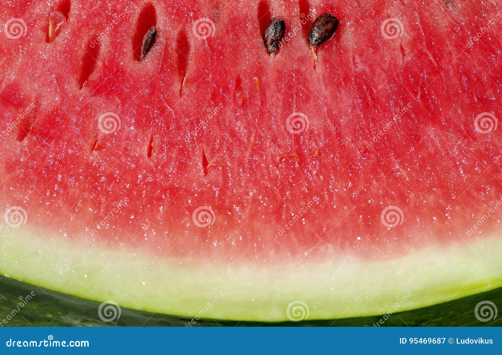Detail of red melon stock image. Image of melon, fruit - 95469687