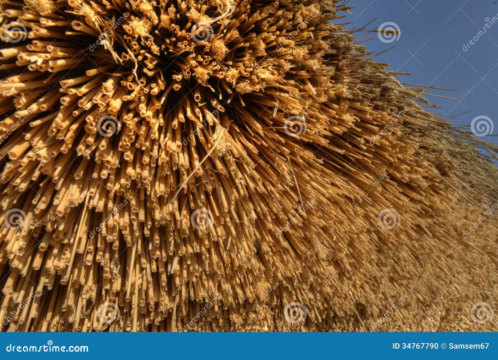 Detail of reed thatch stock photo. Image of architecture - 34767790