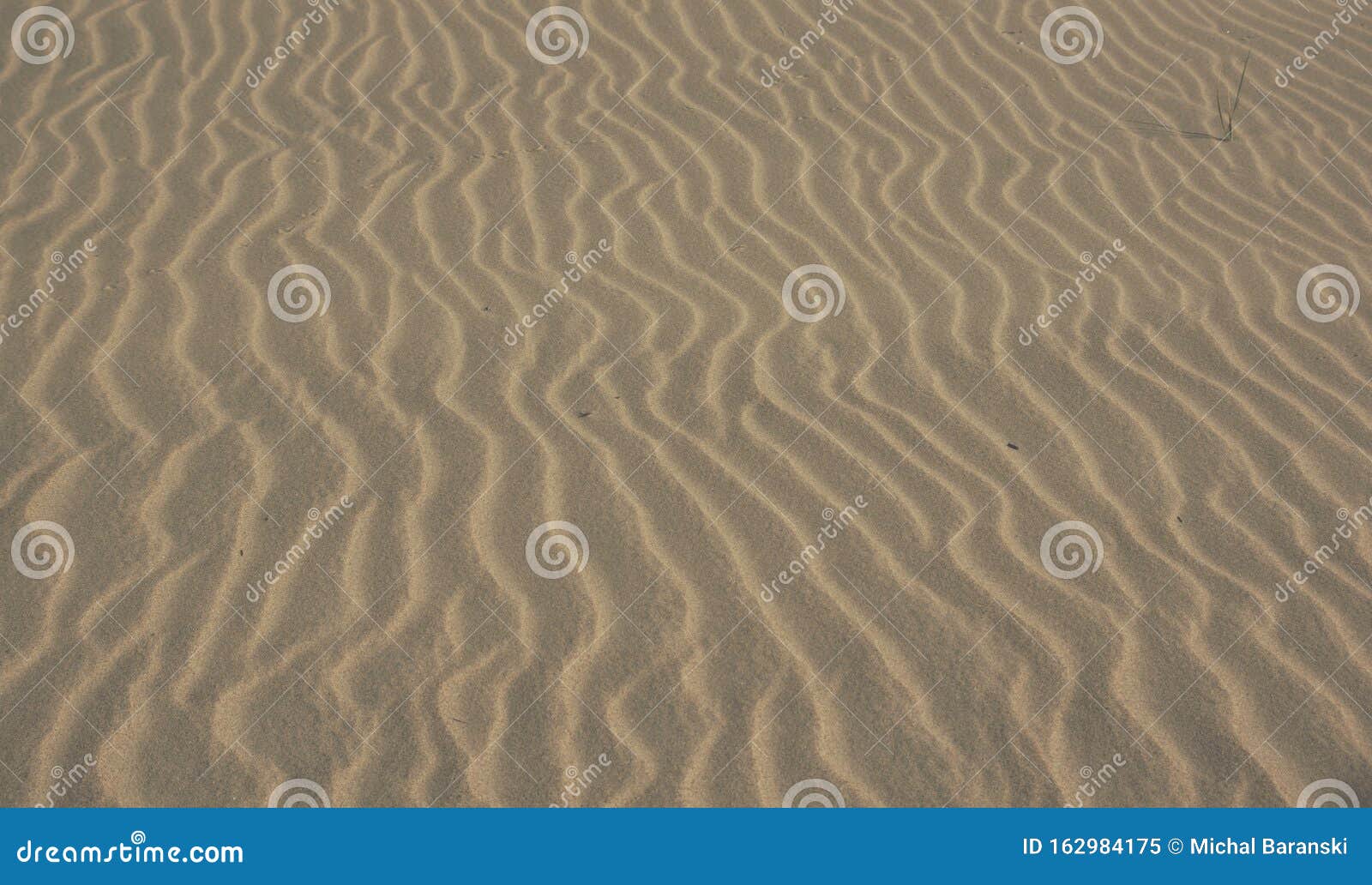 Ripple Marks on a Sandy Beach Stock Image - Image of grain, abstract ...