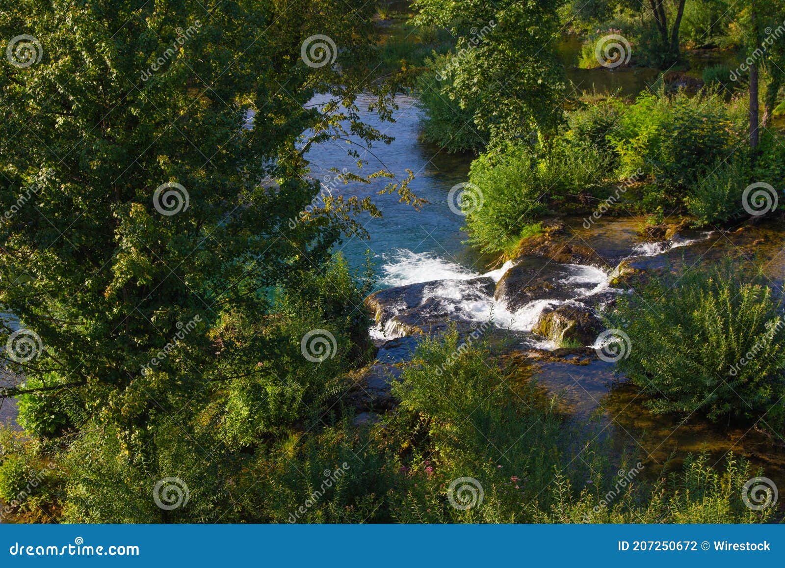 A Detail of the River and Vegetation Stock Photo - Image of river ...