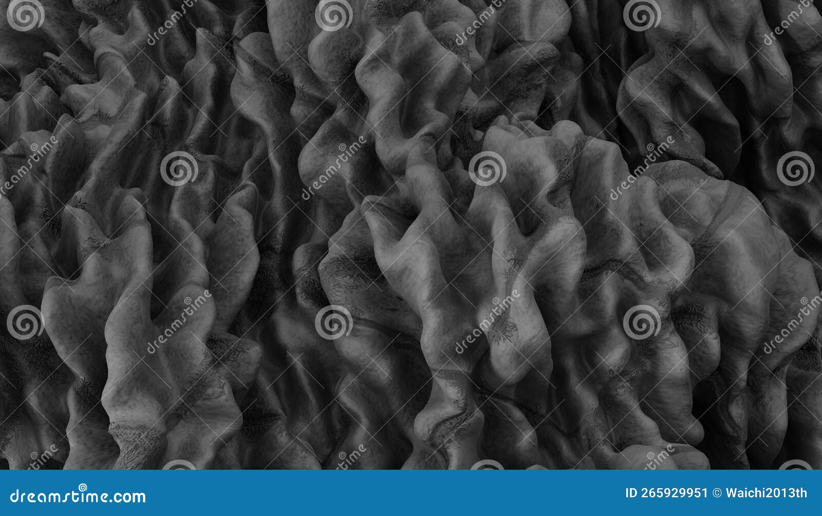Detail of a Rock with Variants of Black. Rock Full of Curves and Smooth ...