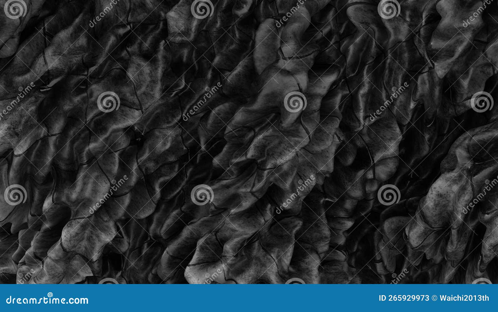 Detail of a Rock with Variants of Black. Rock Full of Curves and Smooth ...