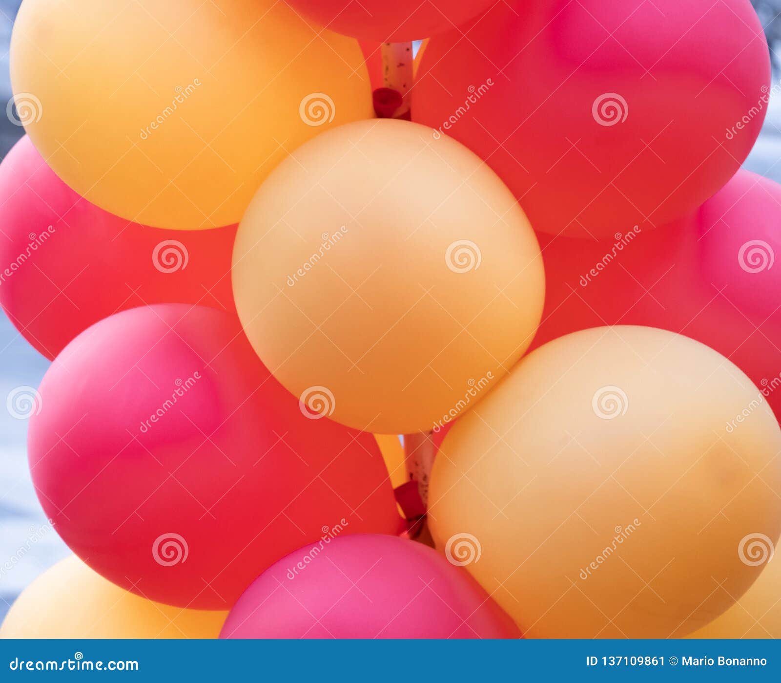 Detail of a Row of Red and Yellow Balloons with a Side View Stock Image ...