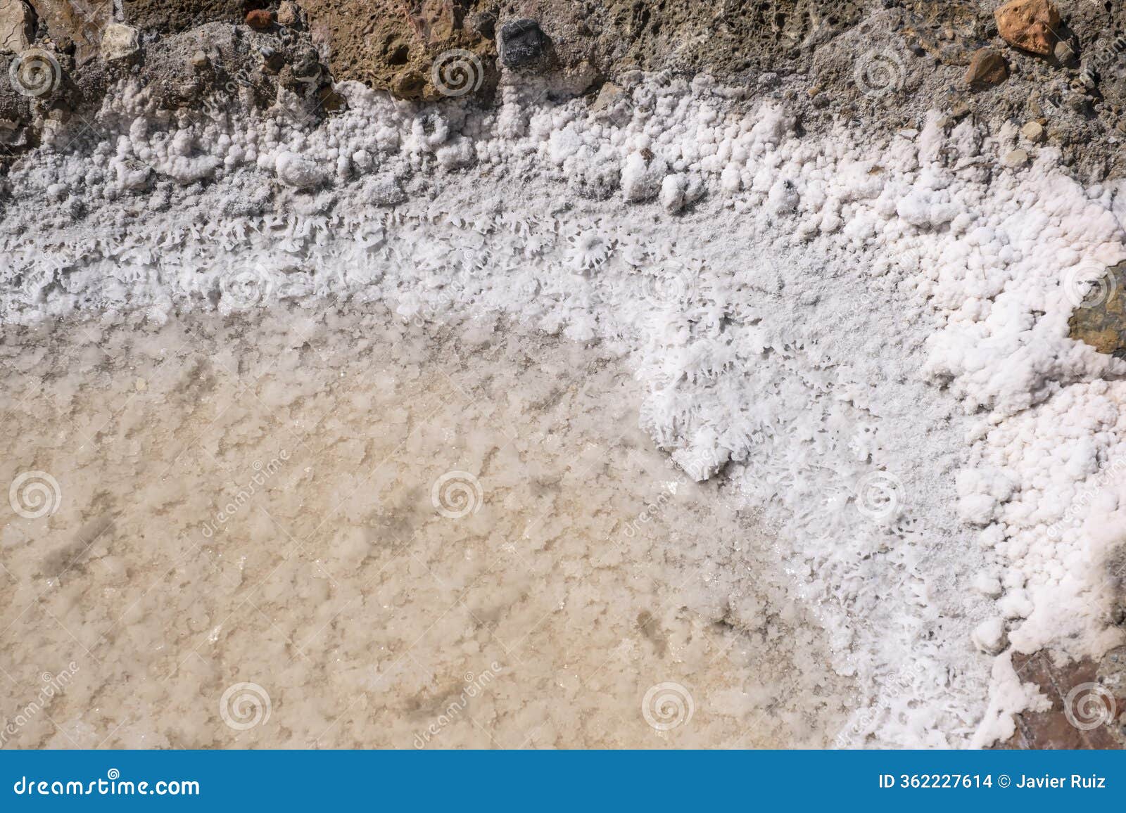 Detail of Salt Crystallization As it Evaporates at the Edge of a Salt ...
