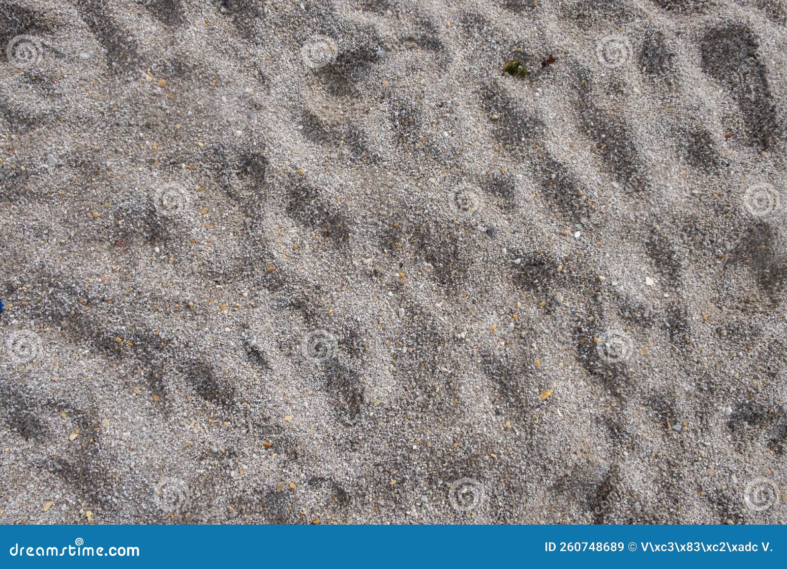 Detail of sand on a beach stock image. Image of outdoors - 260748689