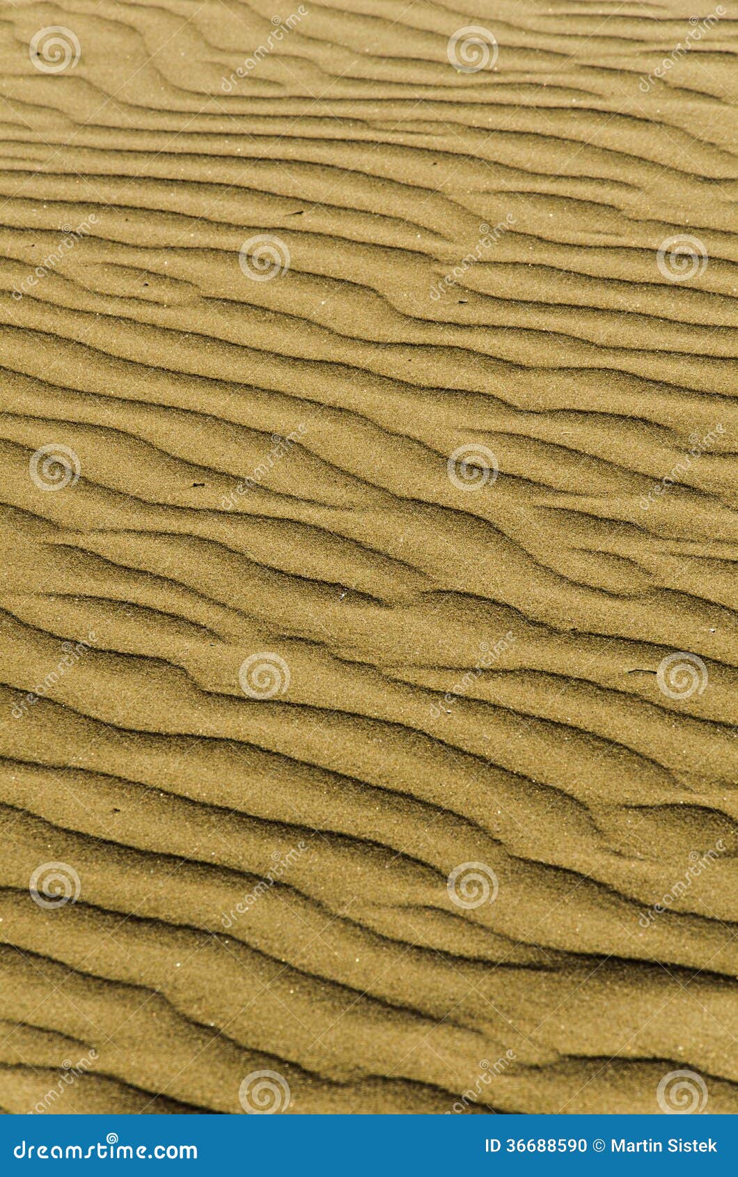 Costal Texture Stock Photos - Free & Royalty-Free Stock Photos from ...