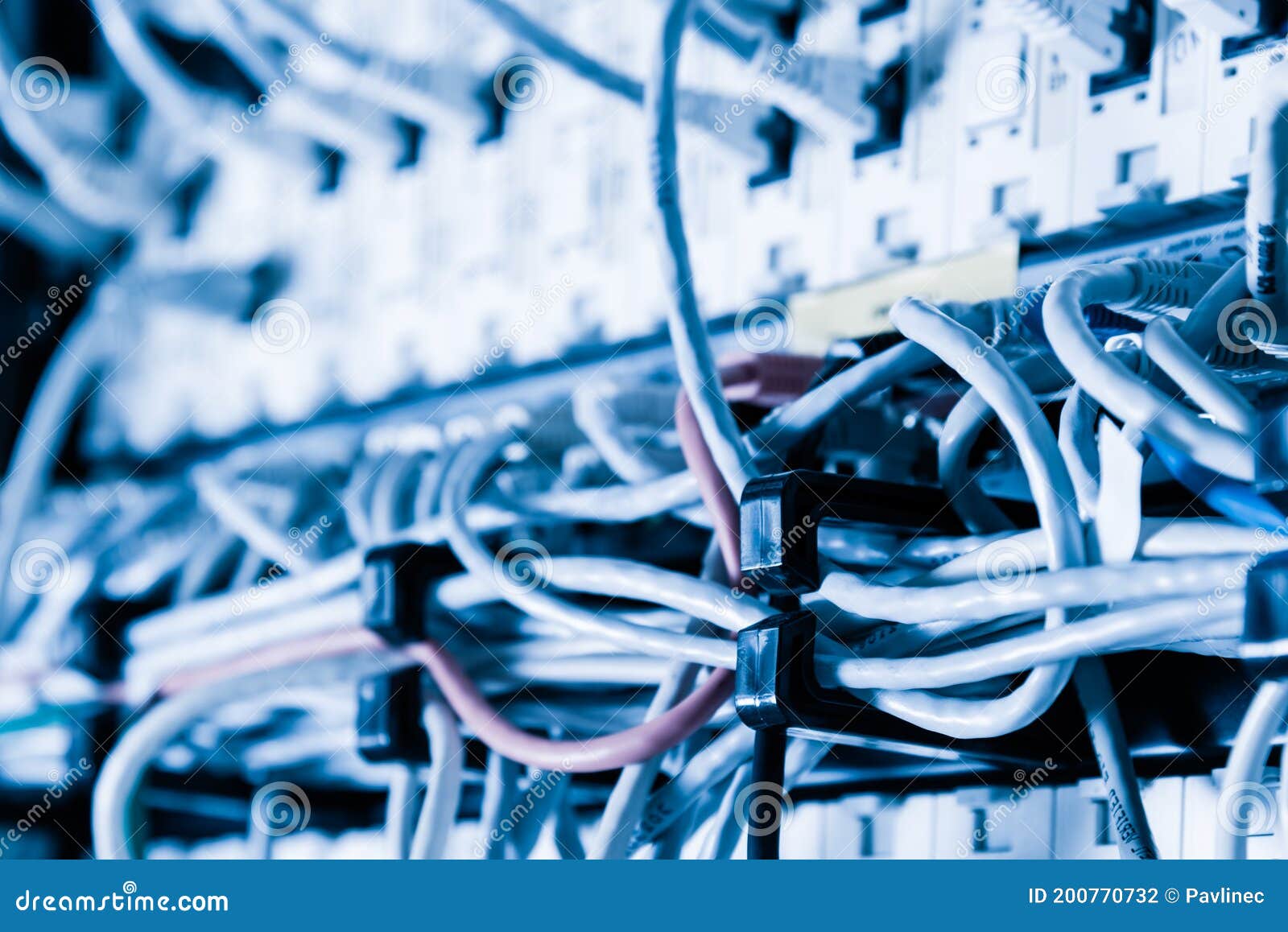 Detail of Server Rack with Ethernet Cables Connected To the Swit Stock ...
