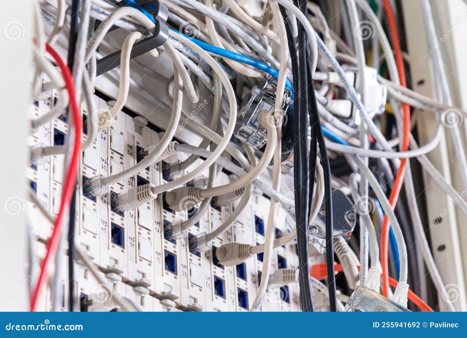 Detail of Server Rack with Ethernet Cables Connected To the Swit Stock ...