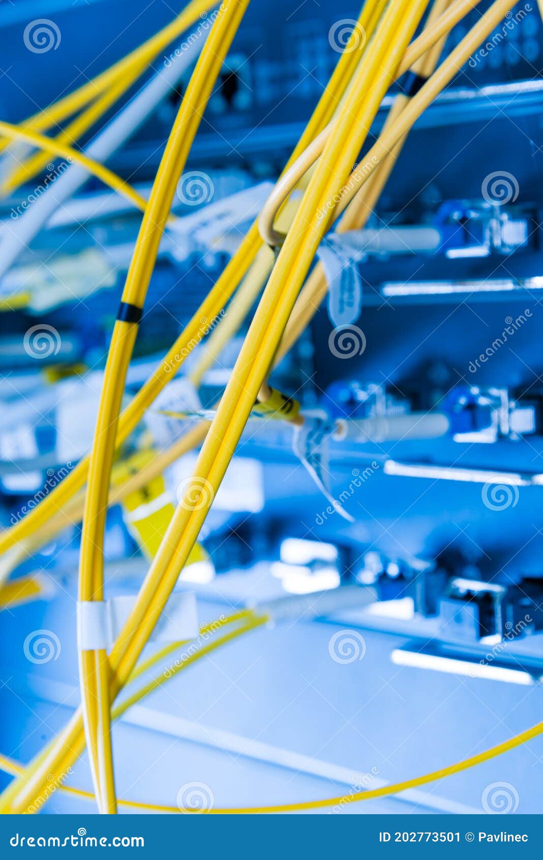 Detail of Server Rack with Fiber Optic Cables Attached To Front Stock ...
