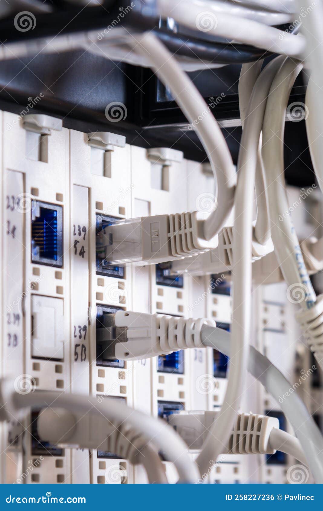 Detail of Server Room with Bunch Ethernet Cables at the Back of Stock ...
