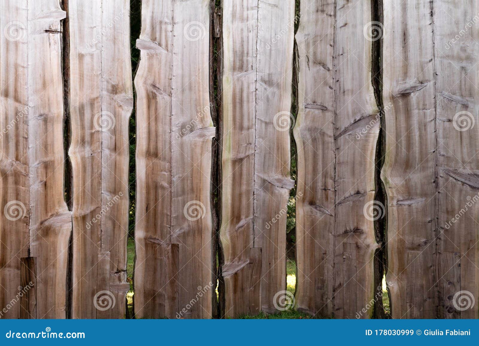 Detail about a Set of Pine Tree Planks Stock Image - Image of plank ...