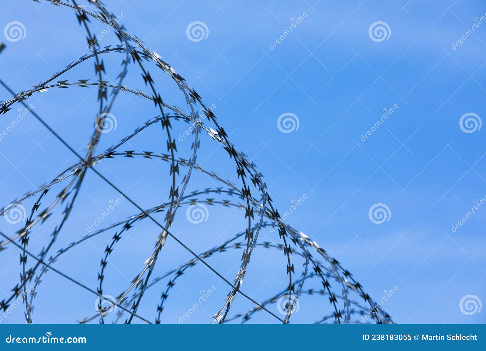 Detail of Sharp Barbed Wire Stock Image - Image of sharp, barbed: 238183055