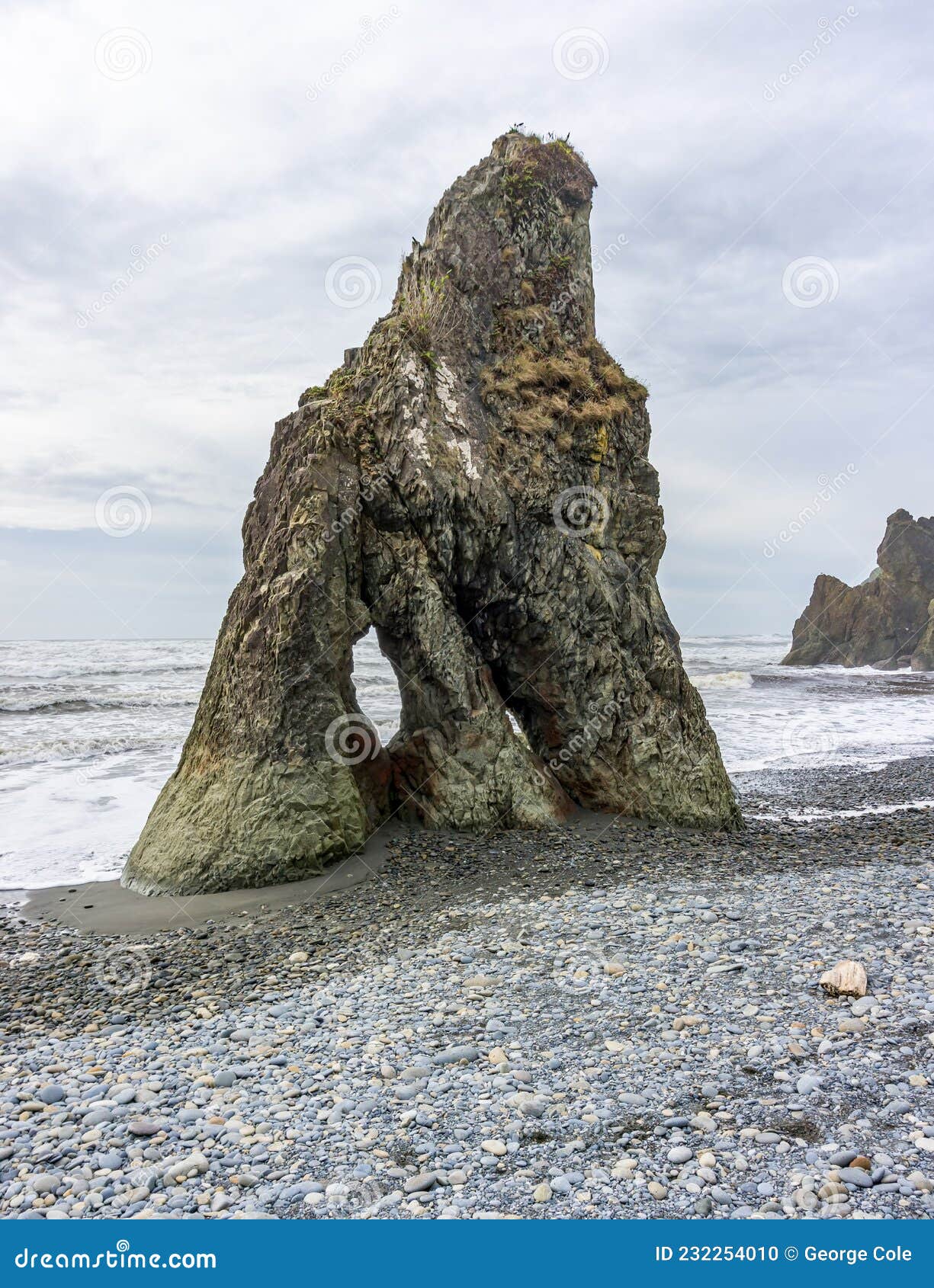Ruby Beach Monolith Close-up 3 Stock Photo - Image of closeup, marine ...