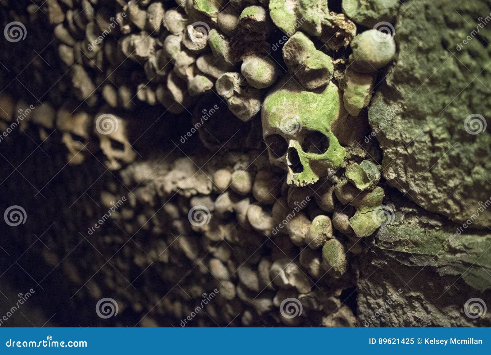 Detail of Skull in Paris Cataombs Stock Image - Image of ancient ...
