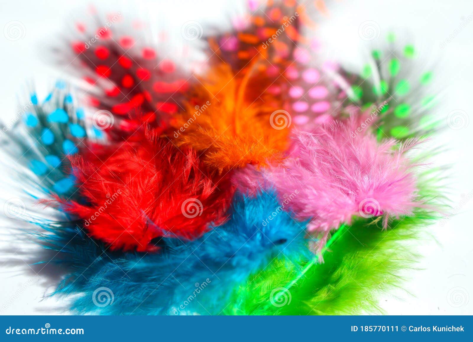 Detail of Small Feathers of Different Colors Stock Image - Image of ...
