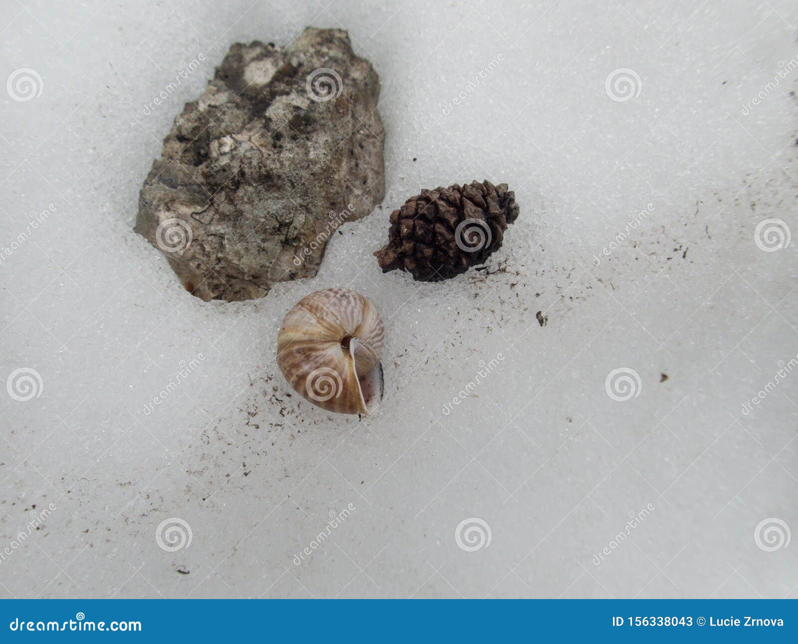 Detail of Small Natural Objects on Snow Stock Image - Image of spring ...