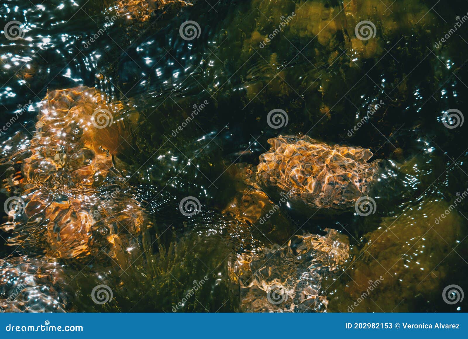 Detail of Some Rocks Under the Sea Stock Image - Image of undulations ...