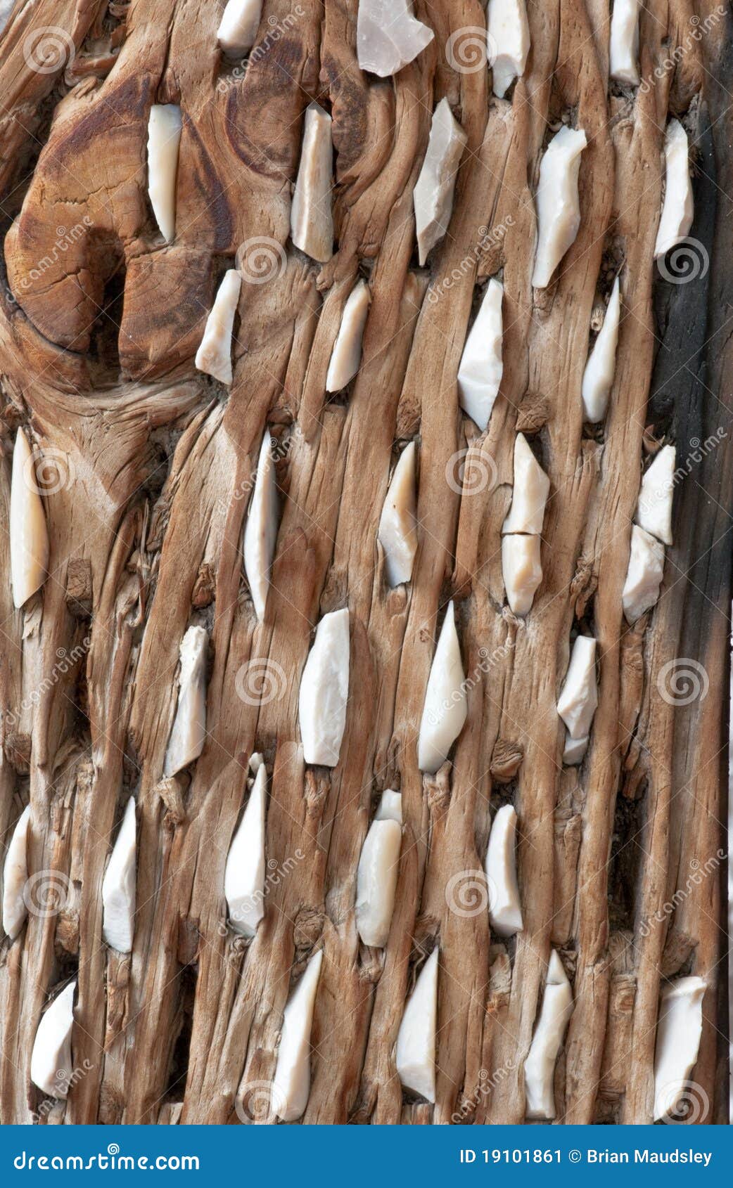 Detail of a Spanish Trillo, Stock Image - Image of agriculture, trillo ...