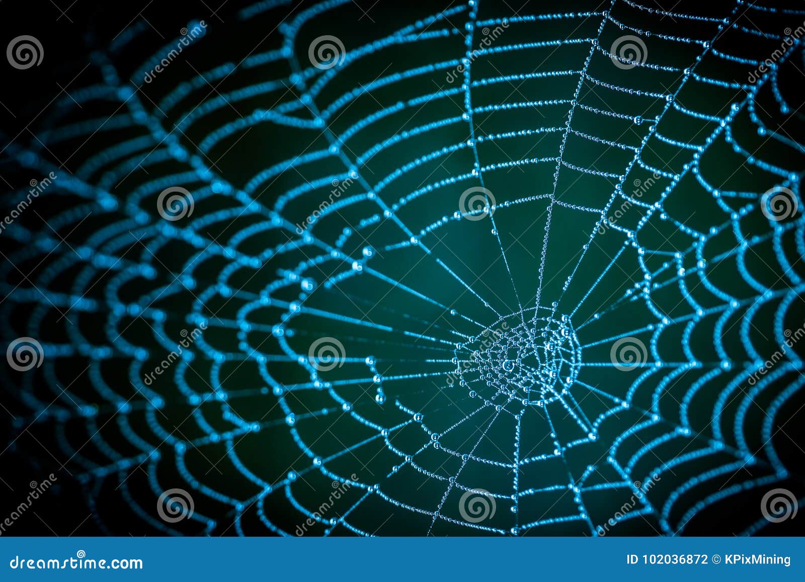 Detail of Spooky Cobweb on a Dark Night Background Stock Photo - Image ...