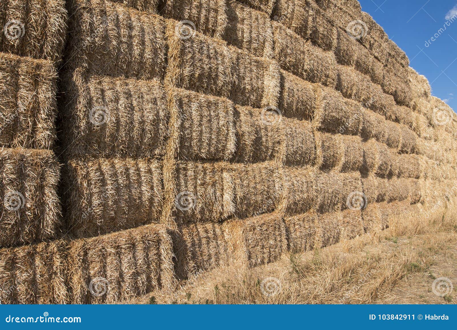 Stack Of Straw Bales In Field Stock Photography | CartoonDealer.com ...