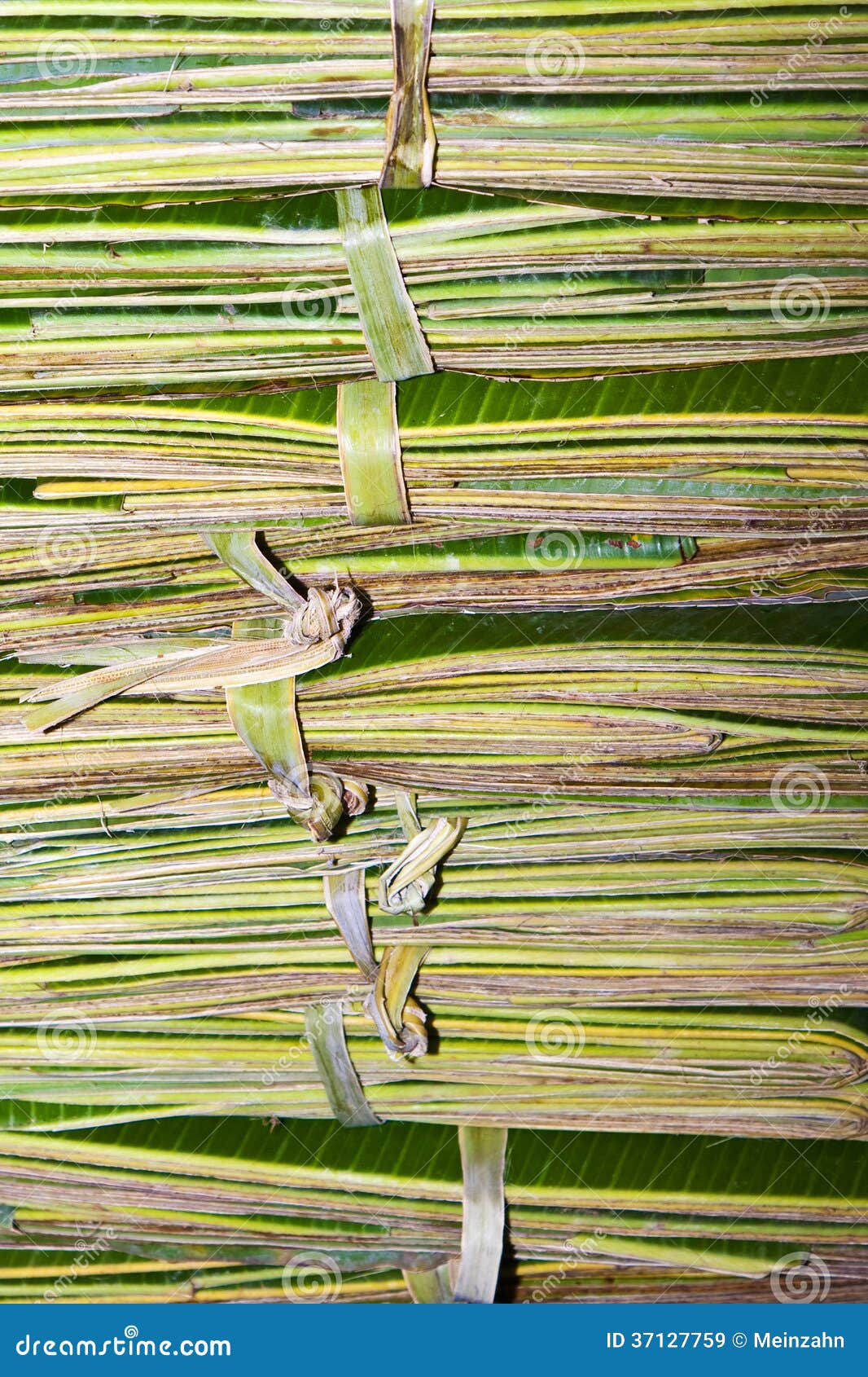 Detail of Stacked Up Palm Leaves Stock Image - Image of herbs, asia ...