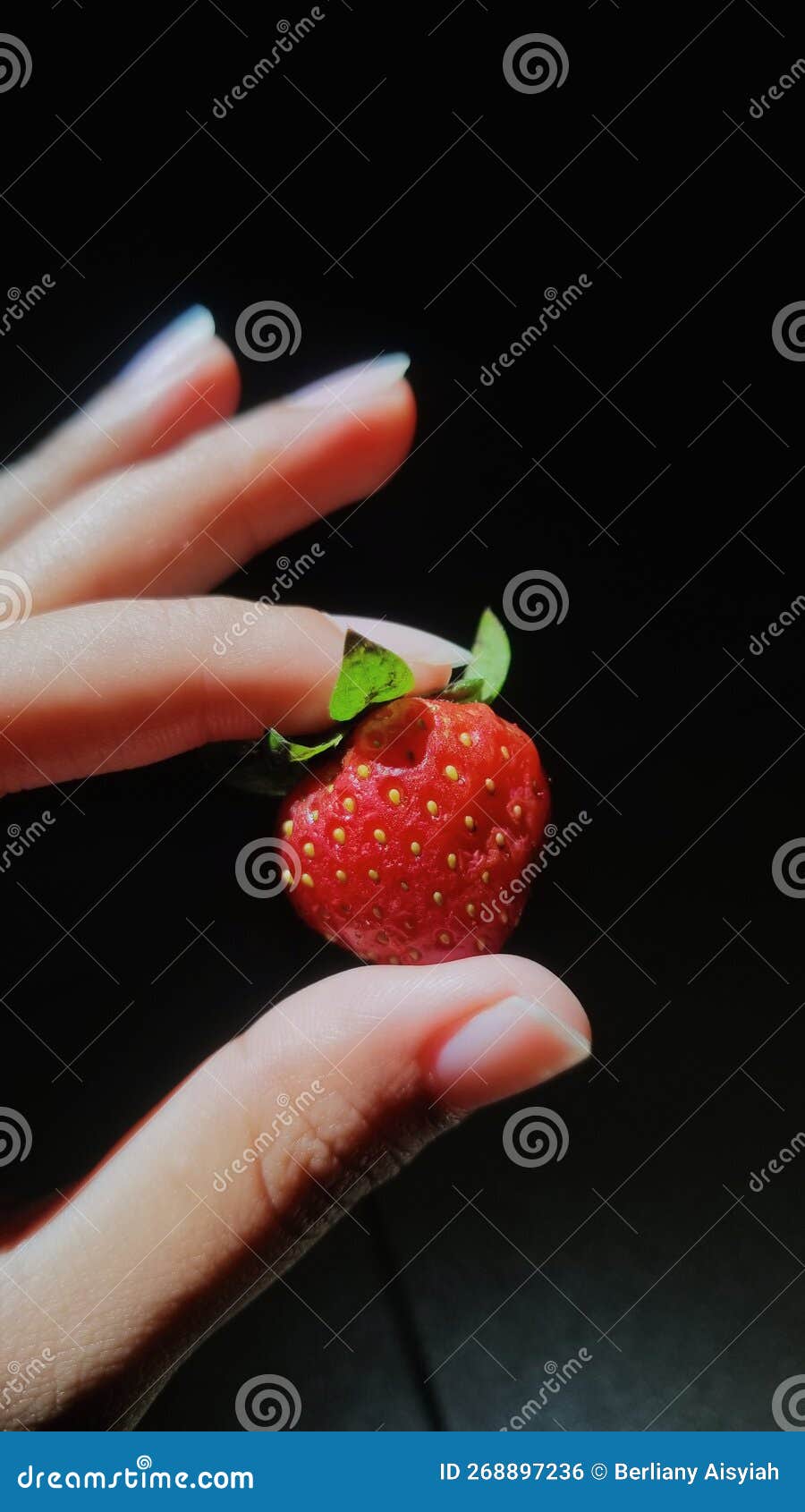 Detail of Strawberry Fruit in Finger Stock Photo - Image of detail ...