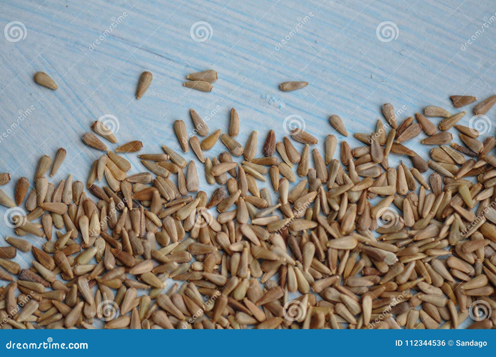 Flower seeds stock photo. Image of summer, calendula - 112344536