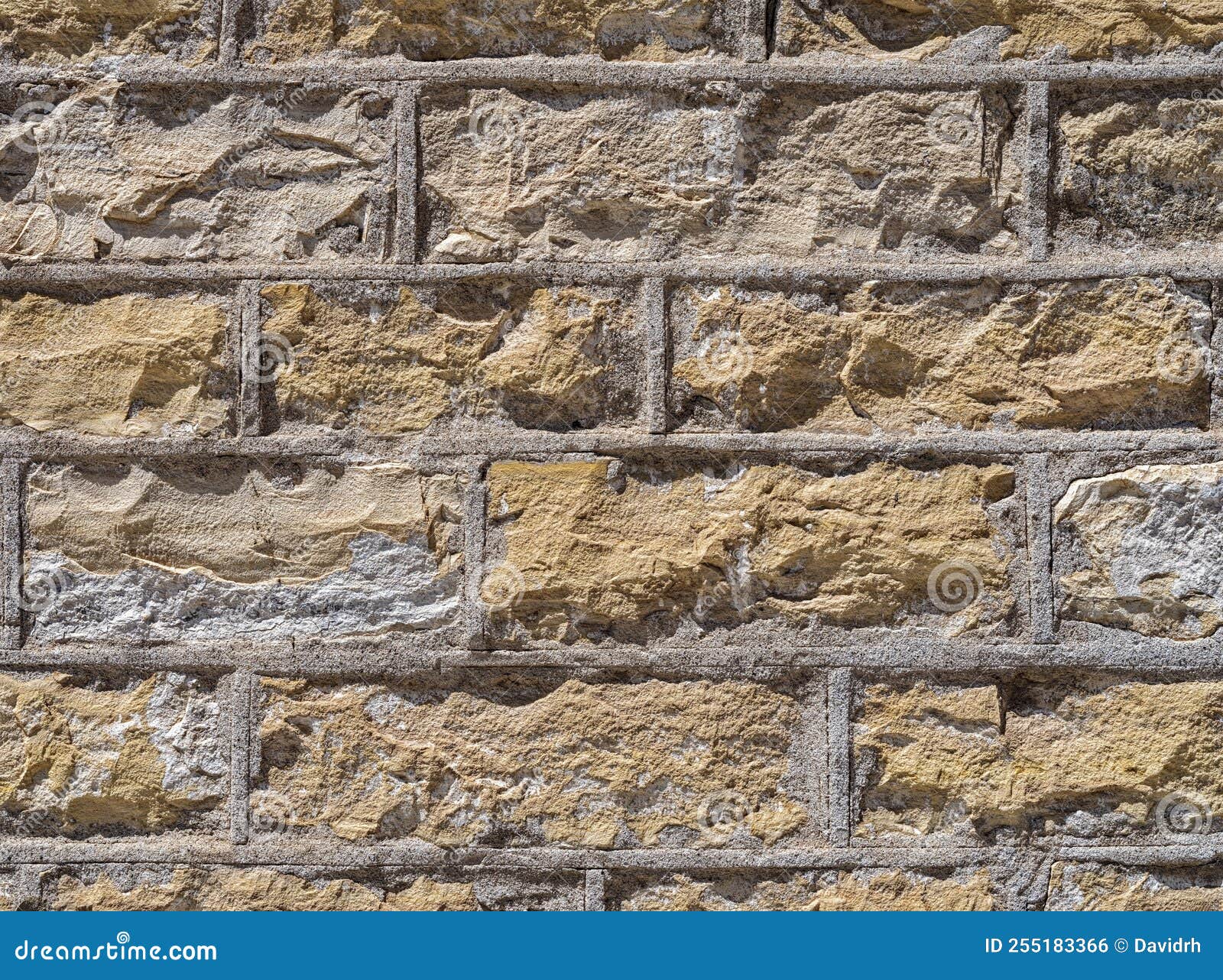 Detail of a Sunlit Light Tan Brick Wall Stock Photo - Image of detail ...