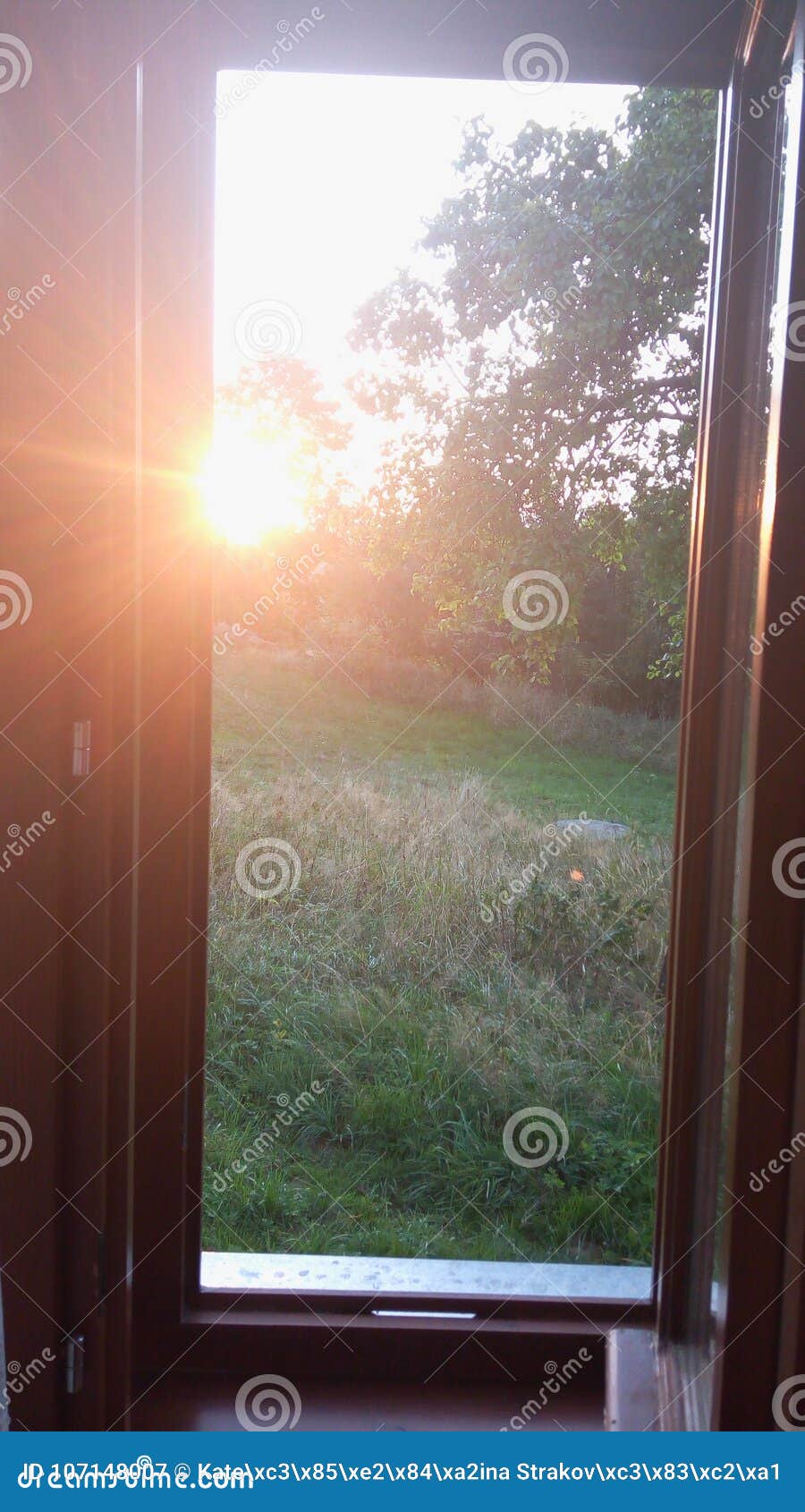 Sunrise window stock image. Image of garden, nature - 107148007