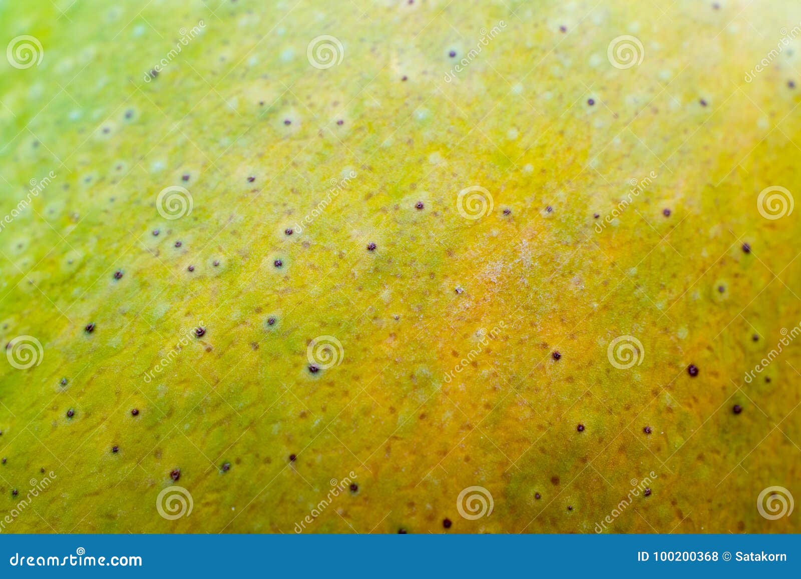 Surface Texture of Mango Skin Stock Photo - Image of fresh, healthy ...