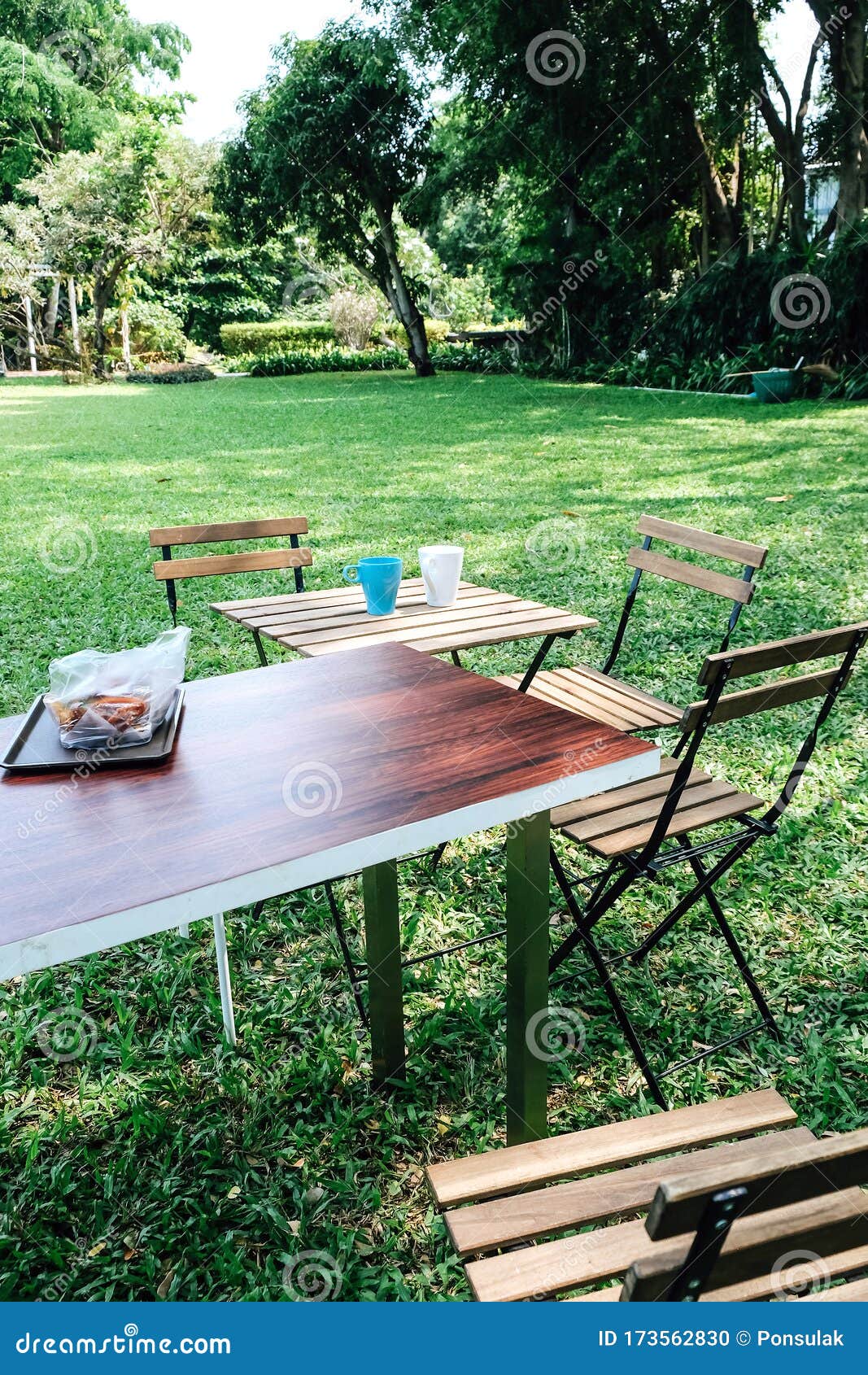 Table Setting for a Garden Lunch Stock Photo - Image of arranging, leaf ...