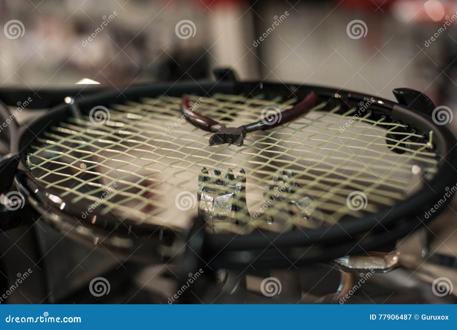 Detail of Tennis Racket in the Stringing Machine Stock Image - Image of ...