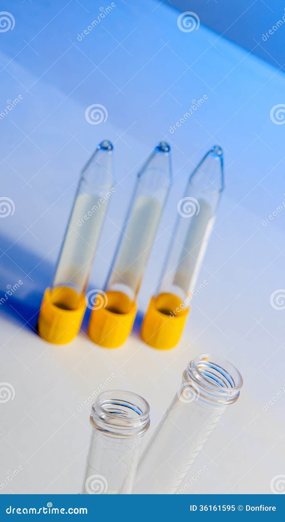 Detail of Test Tubes in Front of Test Tubes on Table in Laboratory ...