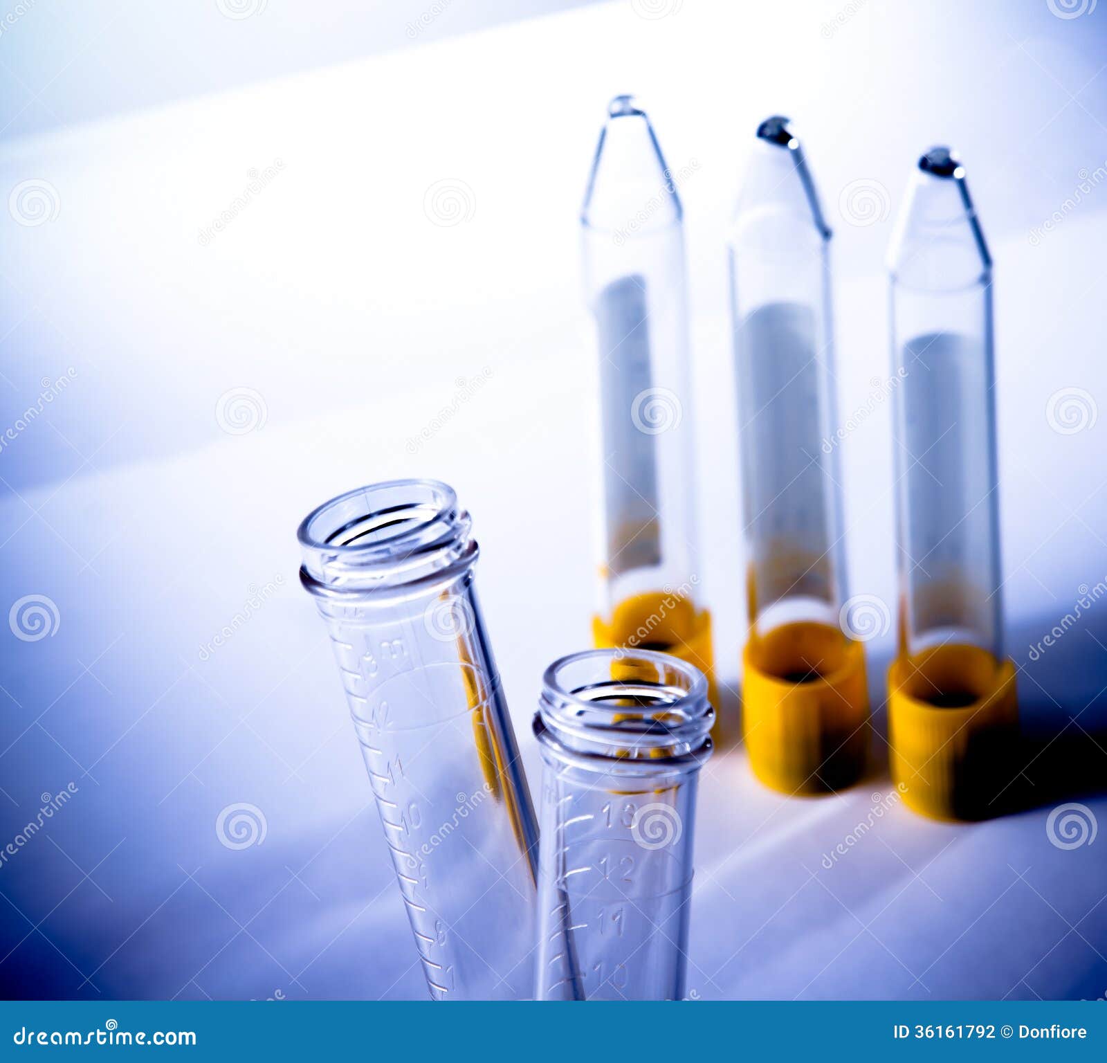 Detail of the Test Tubes in Laboratory on Table Stock Photo - Image of ...