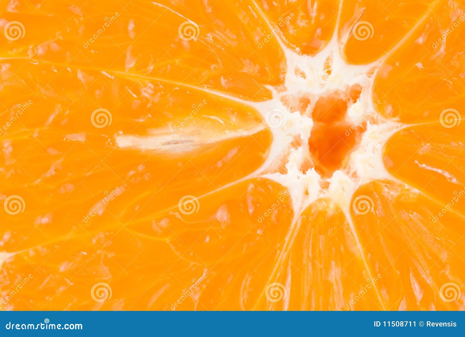Detail Texture of Fresh Orange Fruit Stock Image - Image of close ...