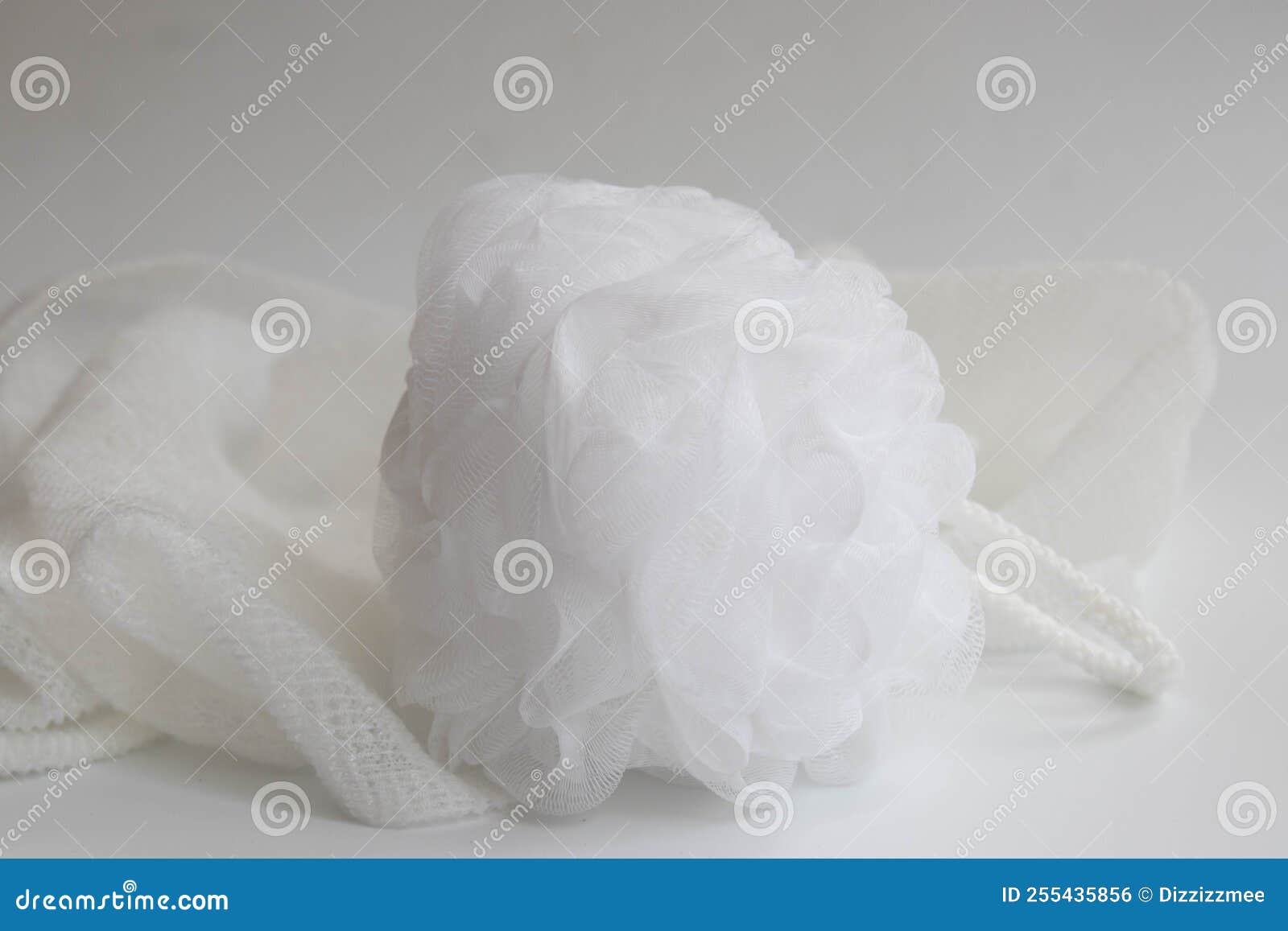 Close Up White Sponge on Grey Background Stock Photo - Image of sponge ...