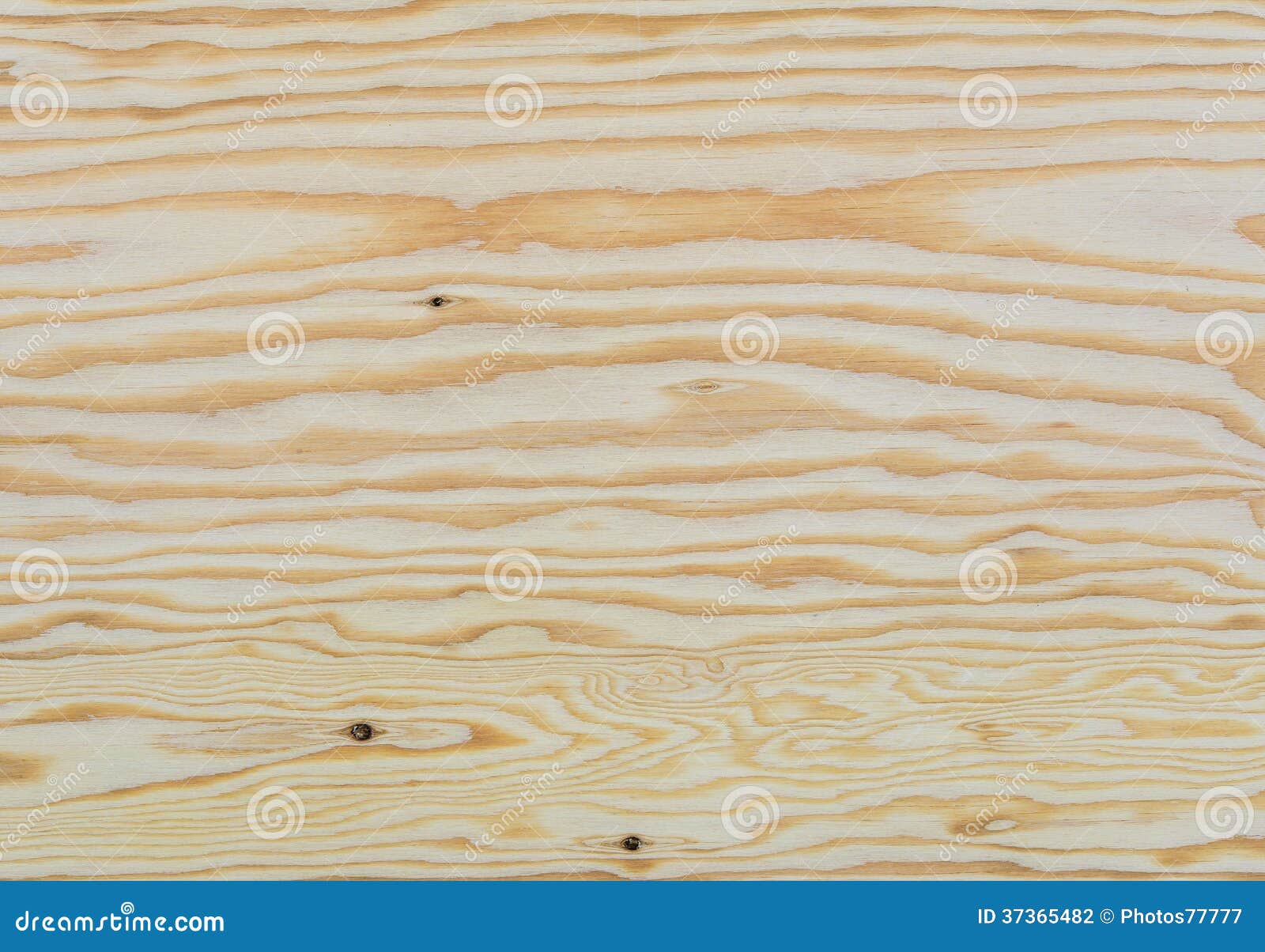 Detail texture of plywood stock photo. Image of background - 37365482