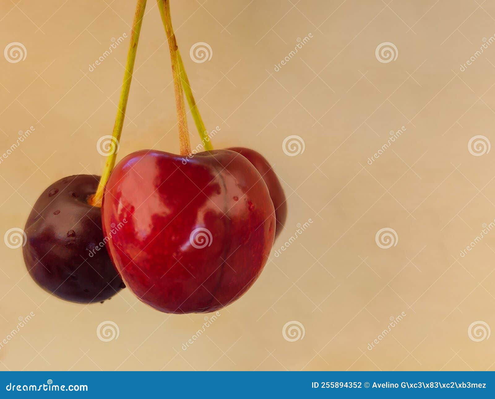 Detail of Three Joined Cherries with Copy Space Stock Photo - Image of ...