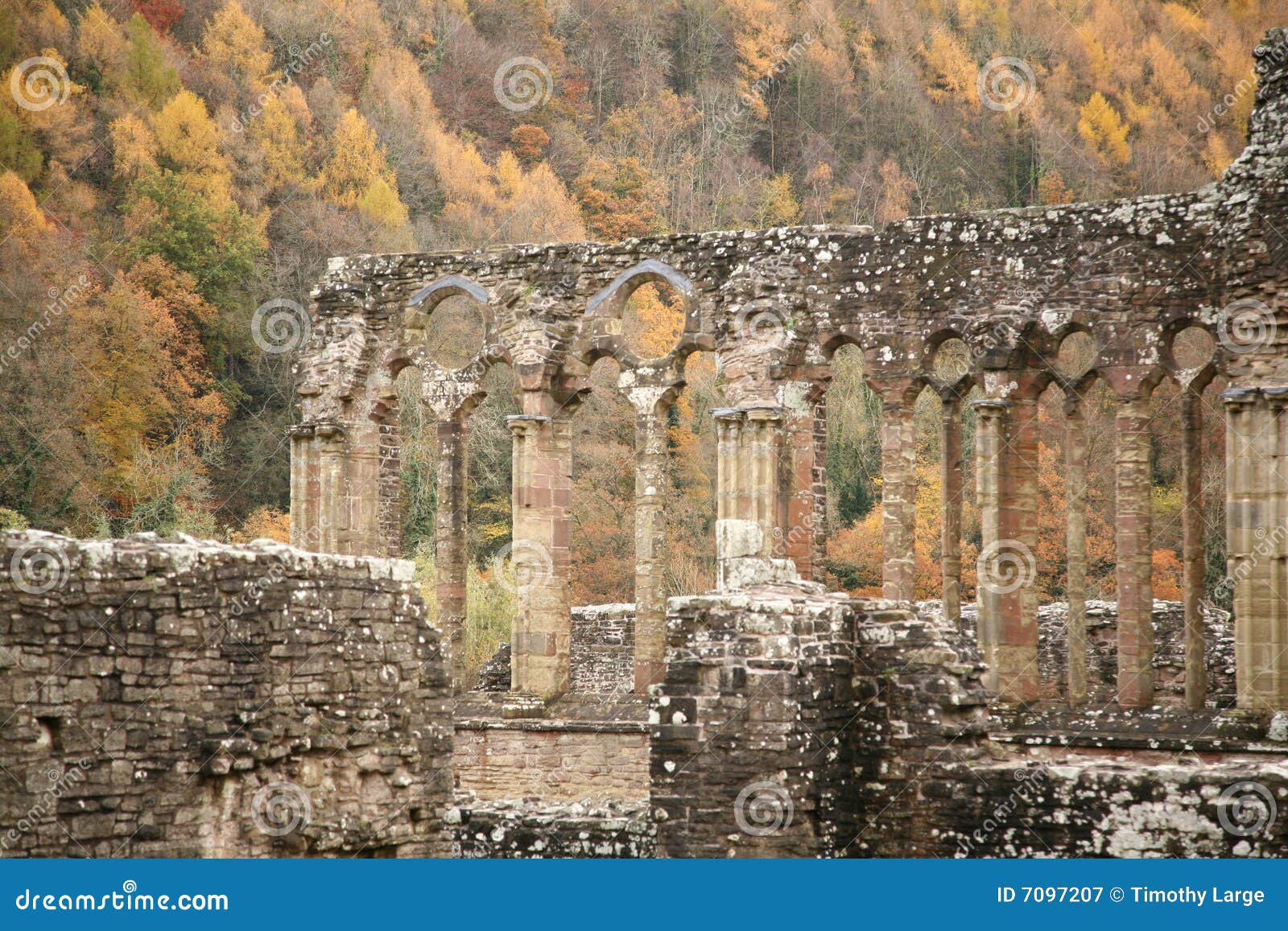 Detail of Tintern Abbey stock image. Image of ruin, closed - 7097207
