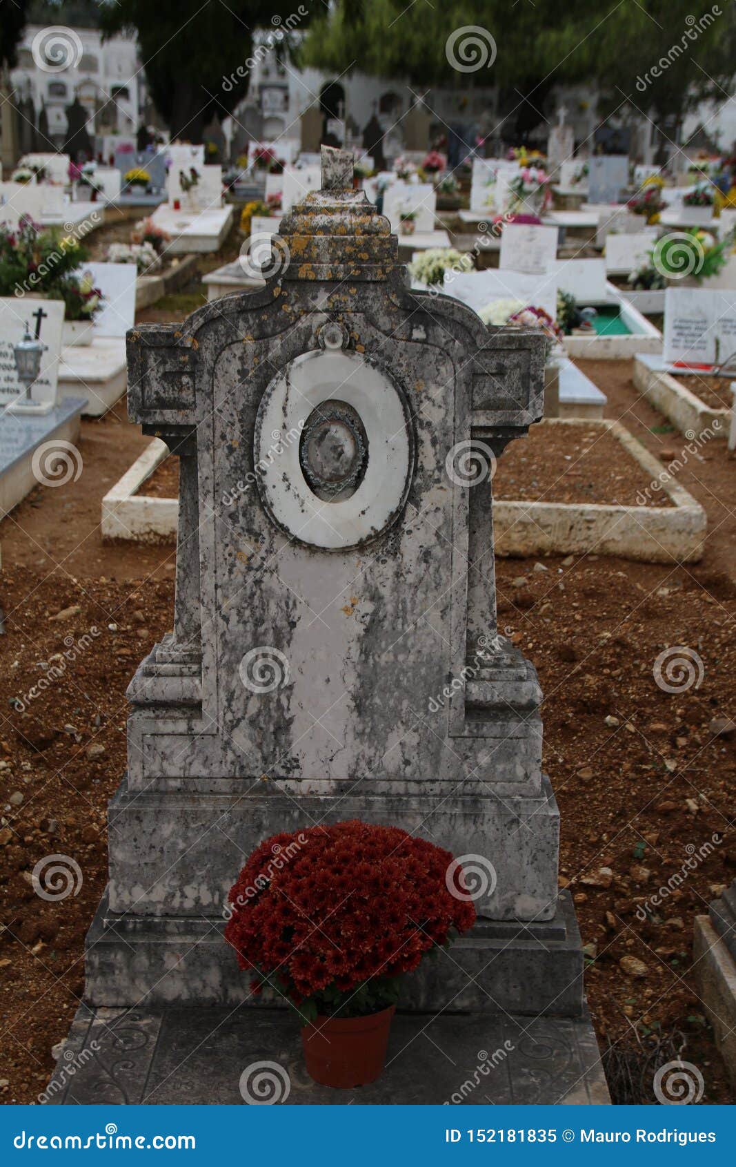 Detail of tomb in cemetary stock image. Image of alportel - 152181835