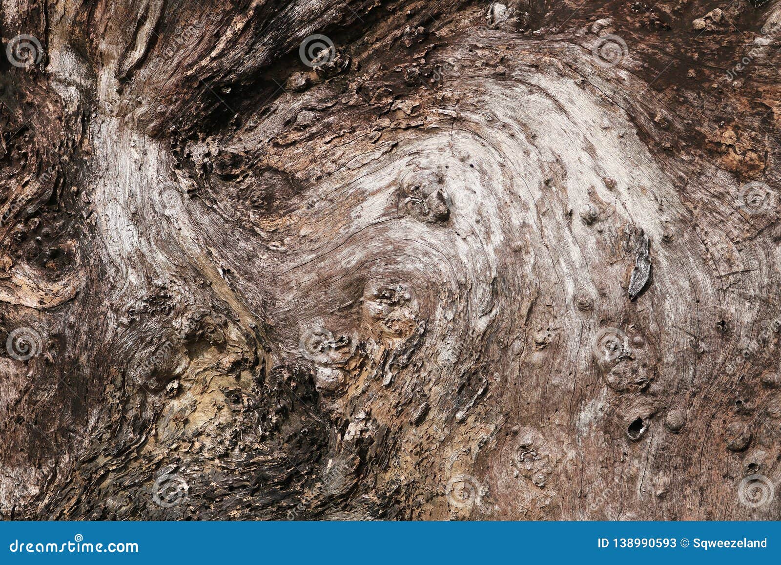 Tree stump texture stock image. Image of antique, detail - 138990593