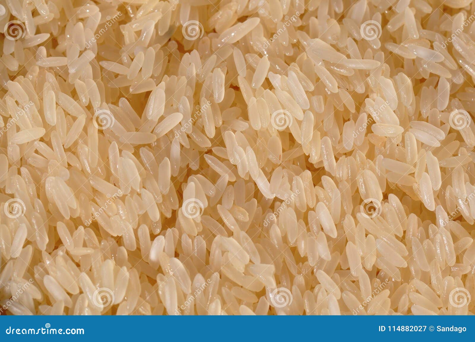 Washed rice stock image. Image of close, cook, detail - 114882027