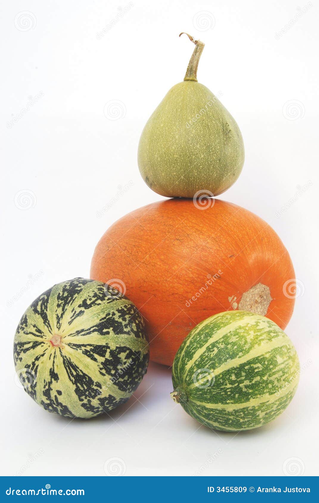 Detail vegetable marrow stock image. Image of detail, vegetable - 3455809