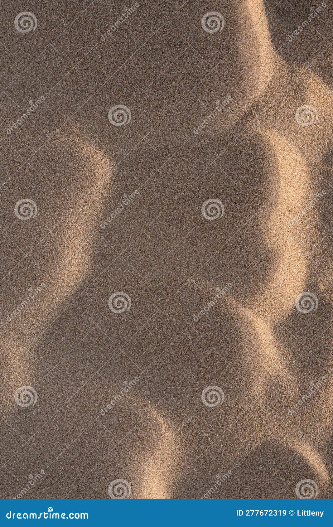 Detail View of Sand on Sand Dunes at the Beach Stock Image - Image of ...