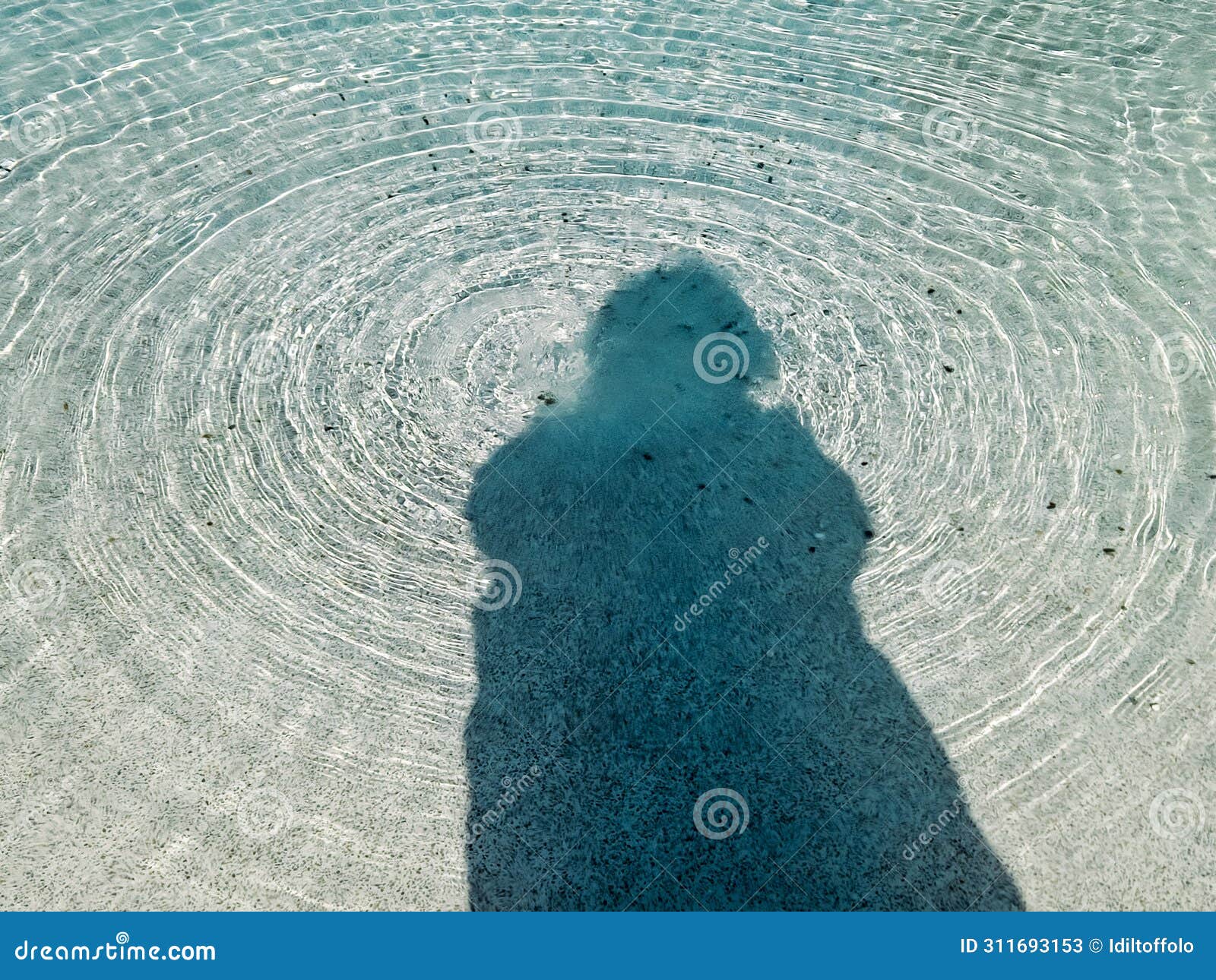 Detail View from the Shore of a Swimming Pool Stock Image - Image of ...