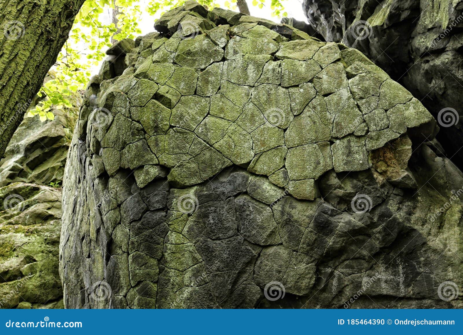 Detail of Volcanic Stone with Hexagonal Structure Stock Photo - Image ...