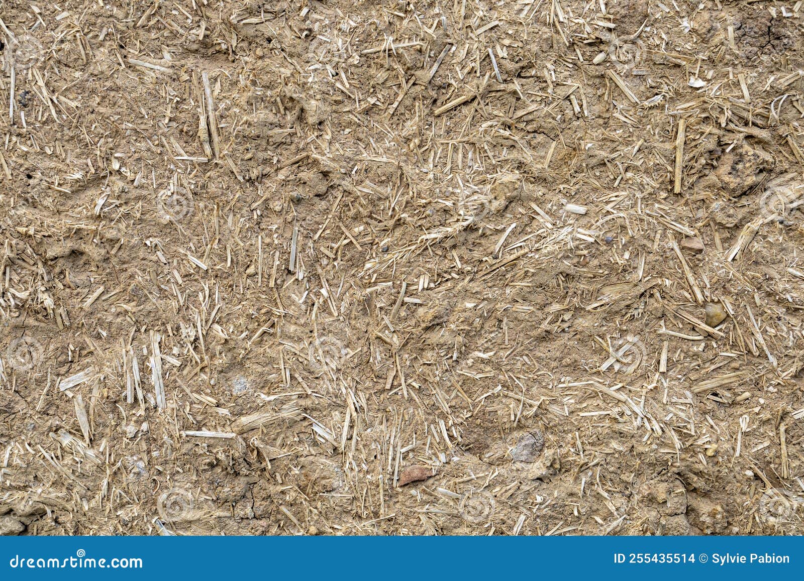 Detail of a Wall Made with Mud and Straw Stock Photo - Image of natural ...
